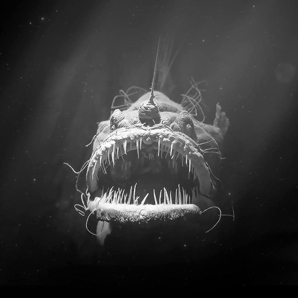 The Sign of Jonah, Part IX: 2:10 – Same & Other