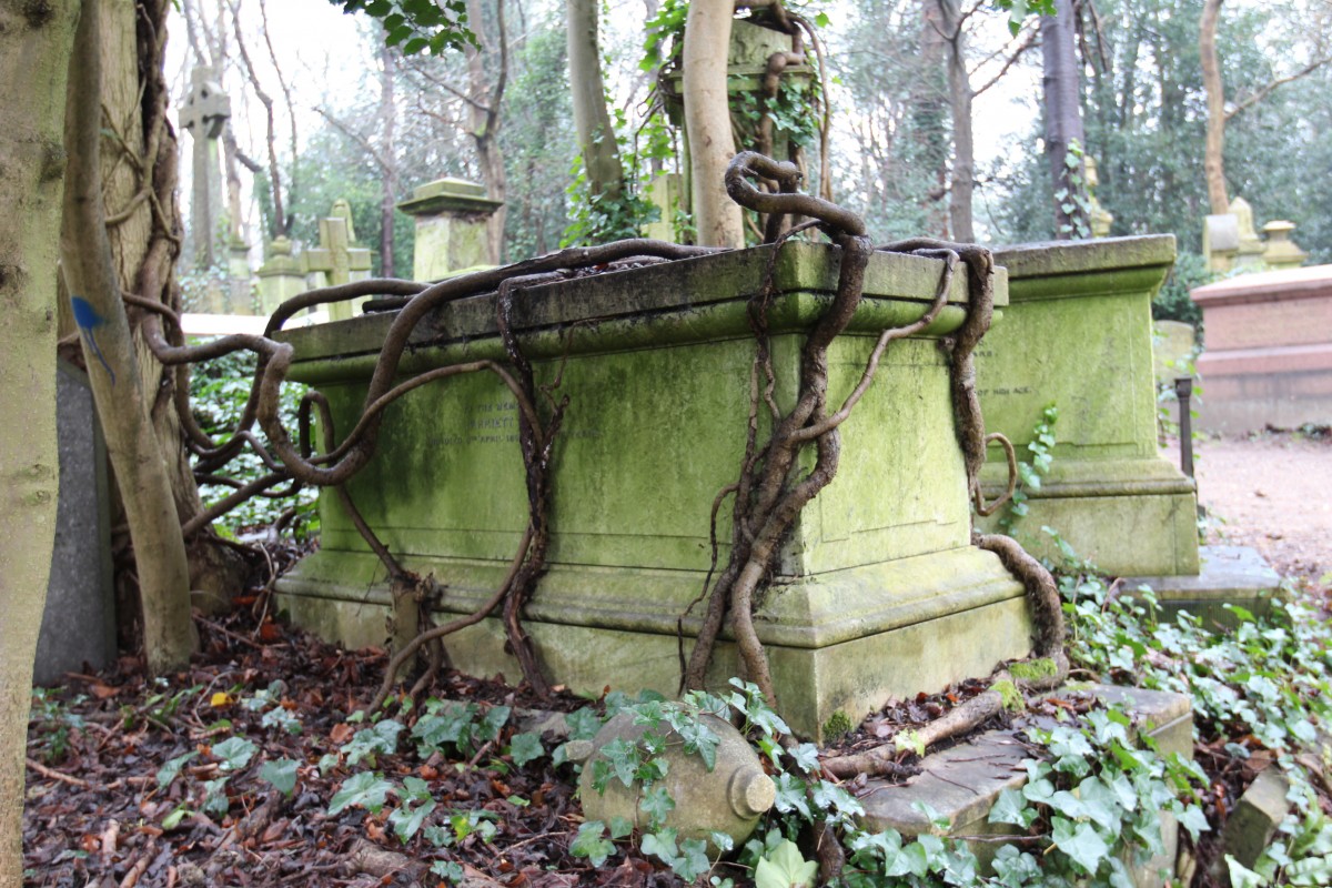 And the Graves were Opened – Same & Other